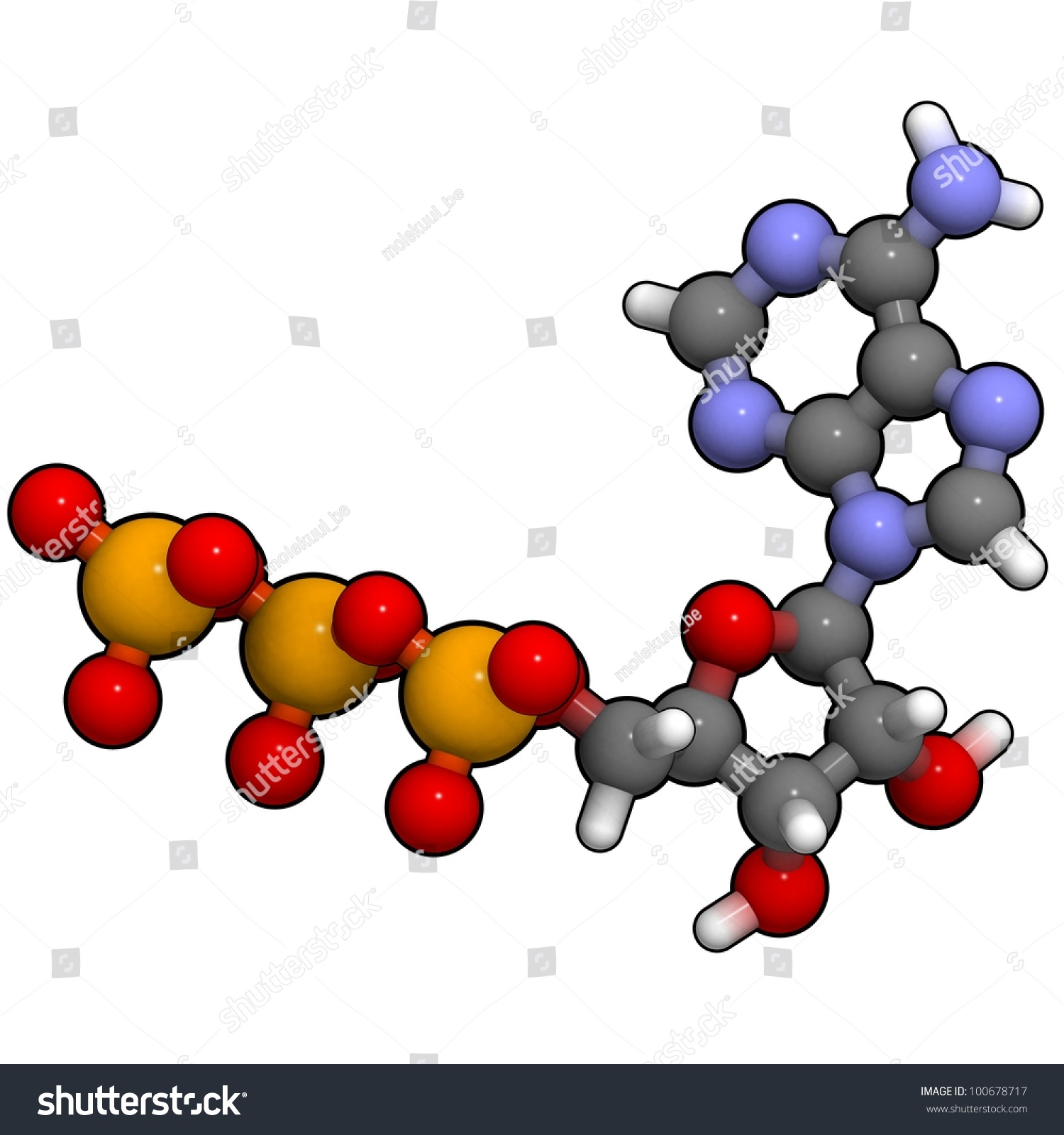 Adenosine Triphosphate (Atp) Energy Transport Molecule, Chemical ... Adenosine Triphosphate (Atp) Energy Transport Molecule, Chemical ...