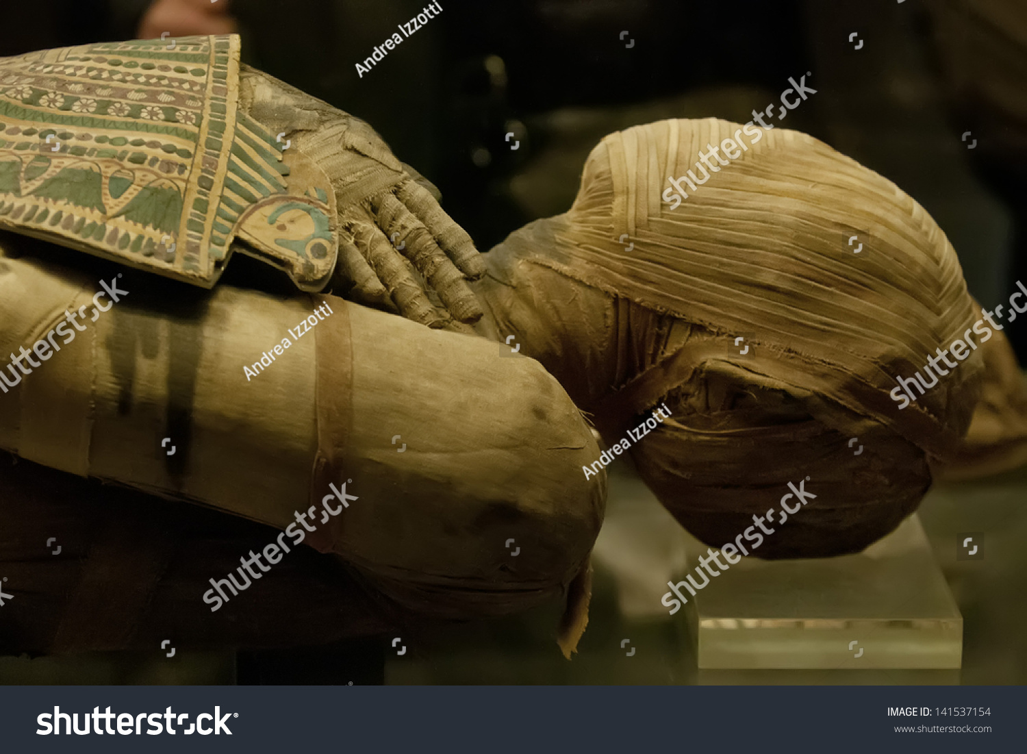 Egyptian Mummy Stock Photo 141537154 : Shutterstock Egyptian Mummy Stock Photo 141537154 : Shutterstock