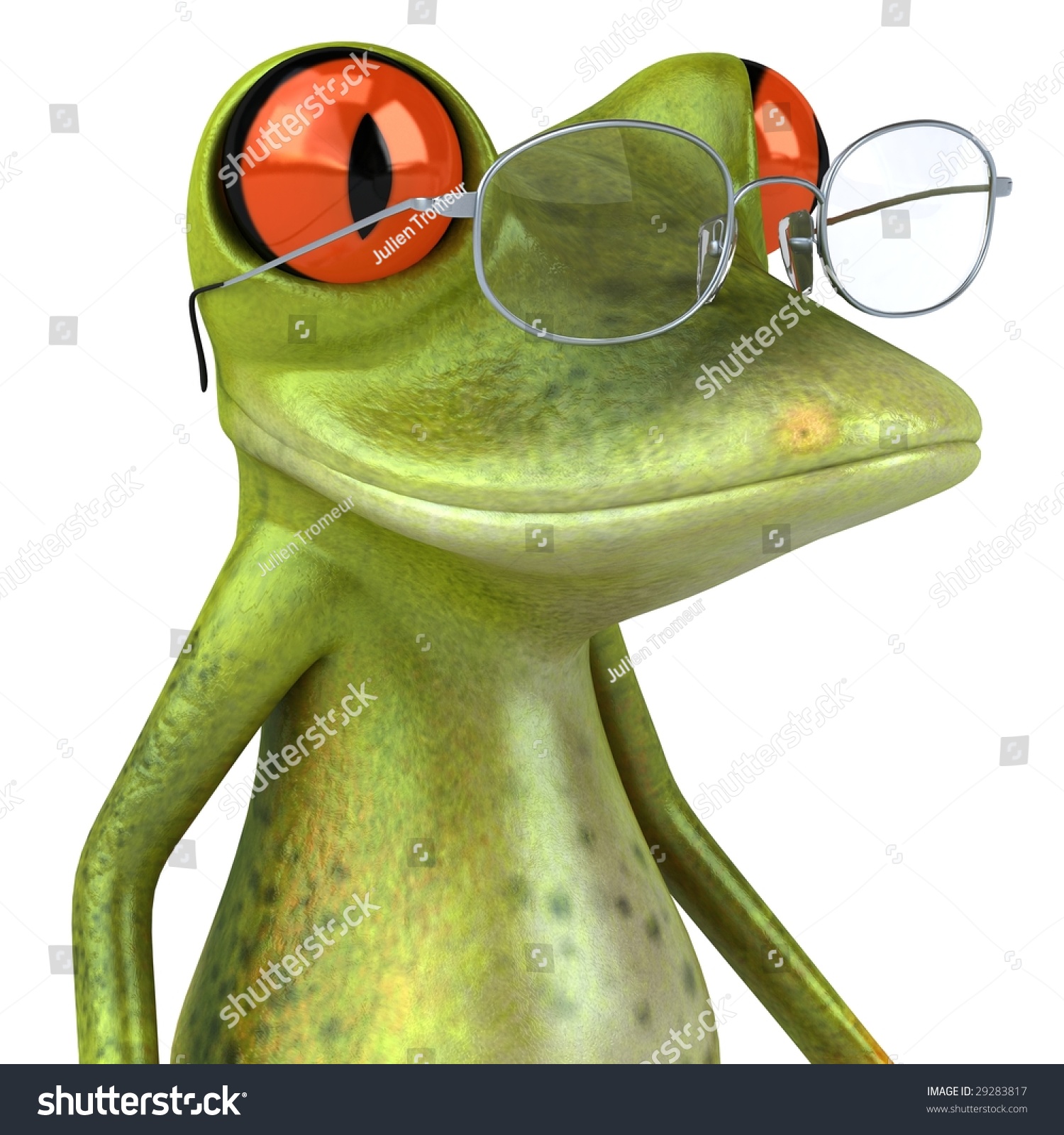 Frog Glasses Stock Illustration 29283817 Shutterstock