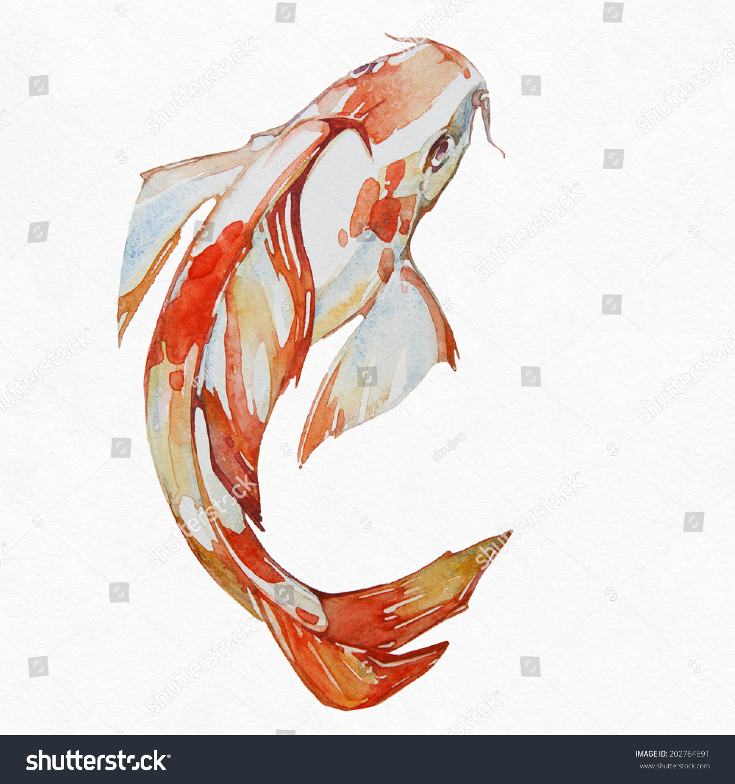Goldfishkoi Fish Watercolor Picture On White Stock Illustration ... Goldfishkoi Fish Watercolor Picture On White Stock Illustration ...