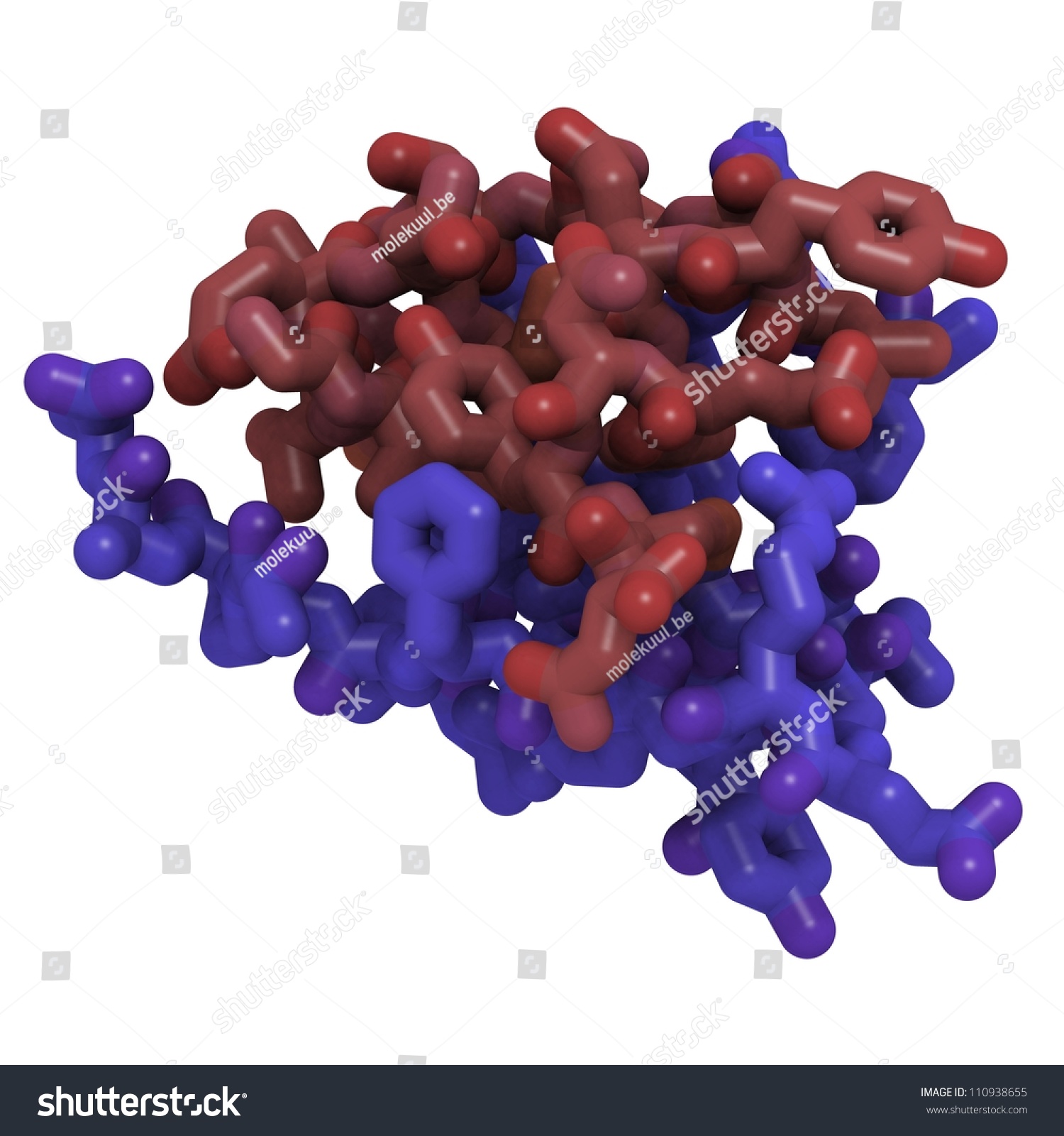 Insulin Molecule Human Chemical Structure Insulin Is A Peptide Hormone Used To Treat Type 1