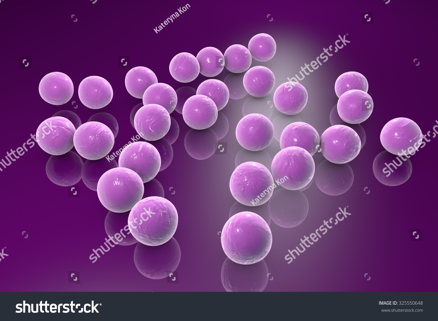 Spherical Bacteria Gram Positive Cocci Streptococcus Pyogenes Stock