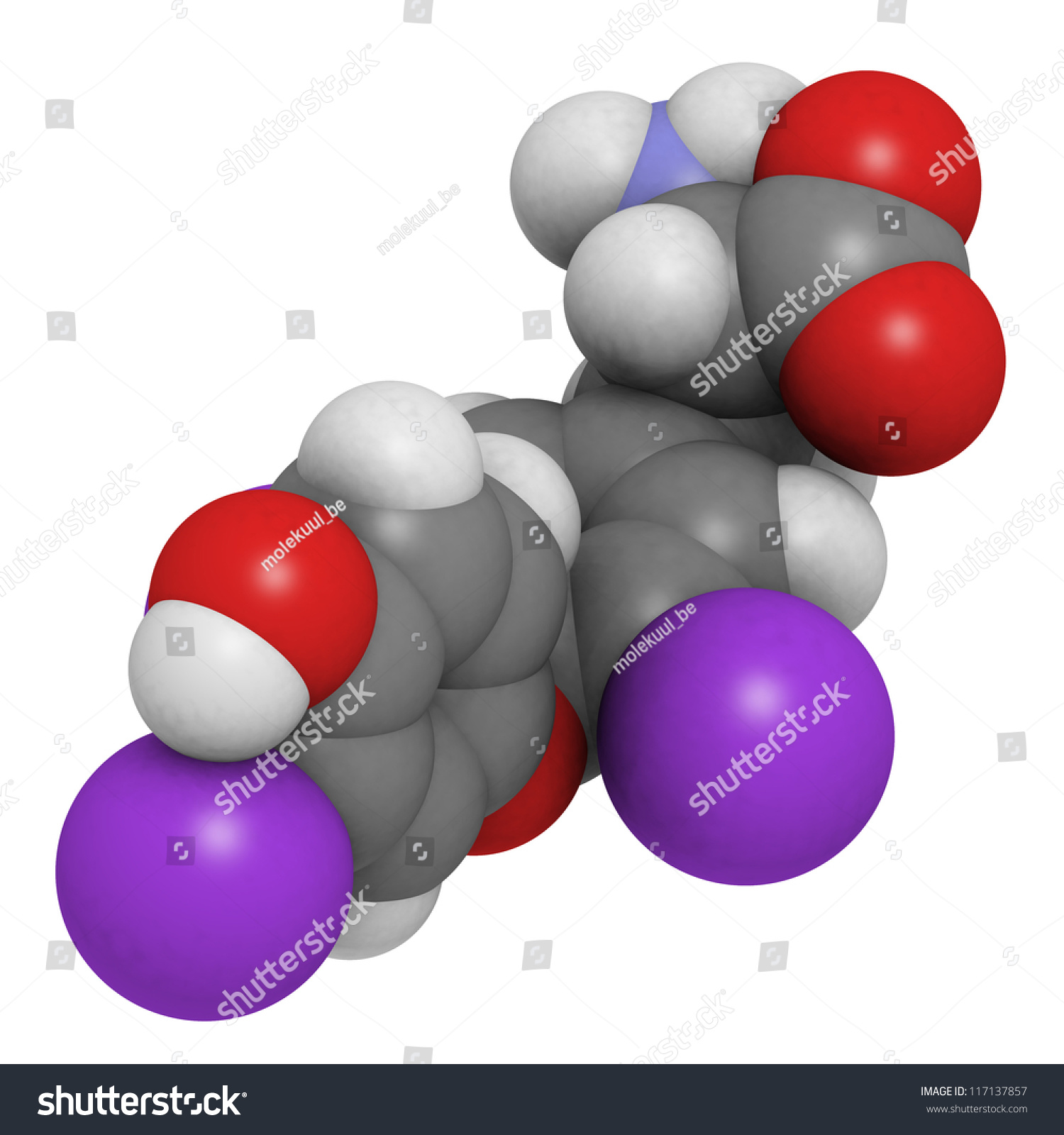 Triiodothyronine Thyroid Gland Hormone Molecule. Triiodothyronine (T3 ... Triiodothyronine Thyroid Gland Hormone Molecule. Triiodothyronine (T3 ...