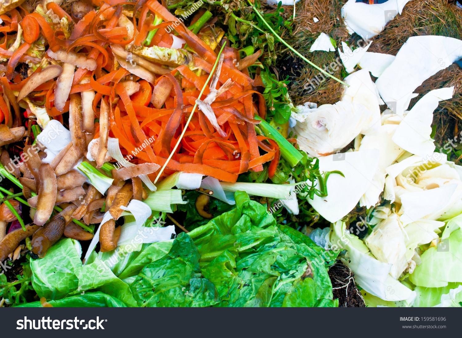 Vegetable Residues On A Compost Bin Stock Photo 159581696 : Shutterstock Vegetable Residues On A Compost Bin Stock Photo 159581696 : Shutterstock