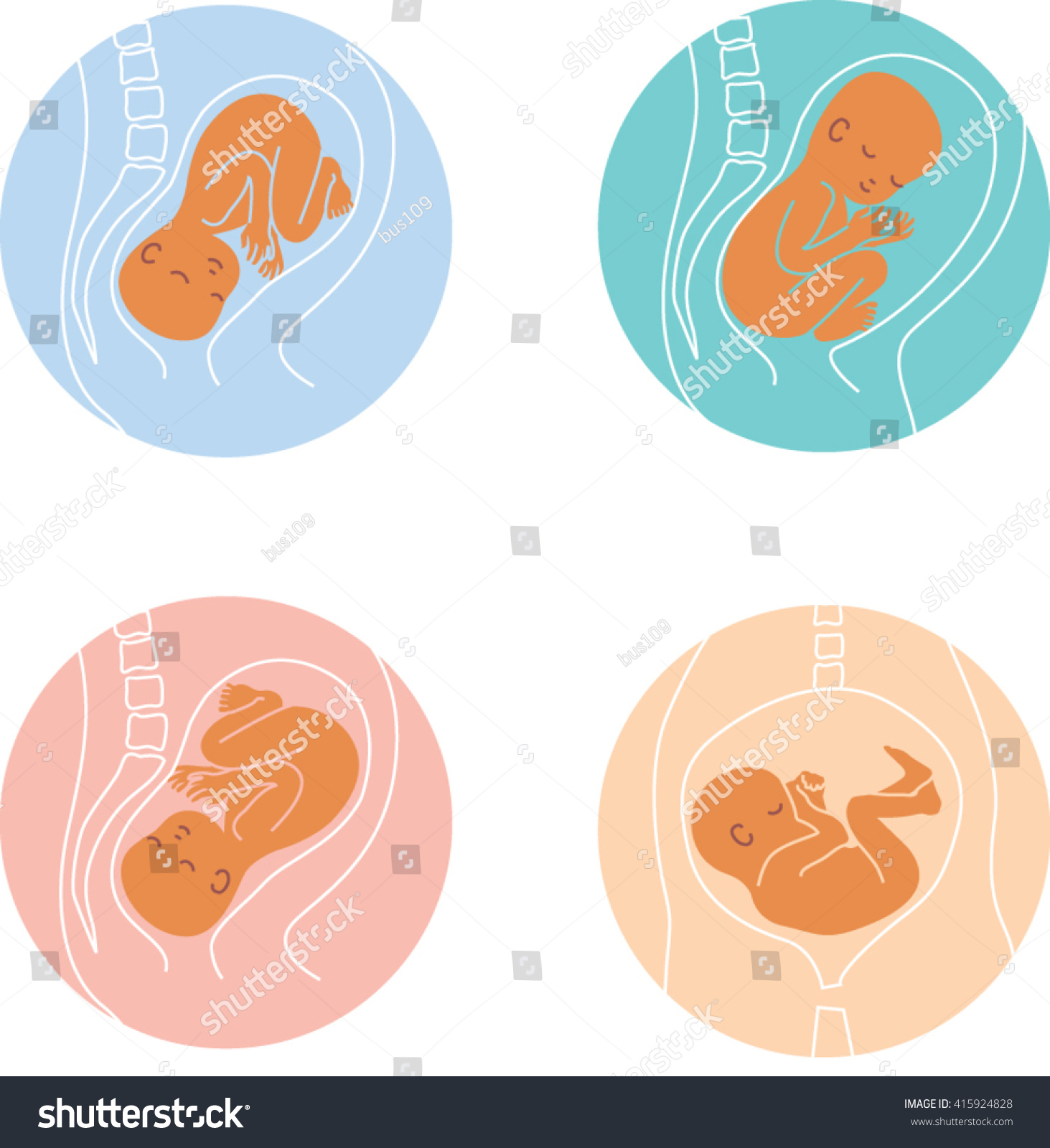 Different Positions Of Baby In Womb. Cute Baby In Womb Vector. Baby ... Different Positions Of Baby In Womb. Cute Baby In Womb Vector. Baby ...