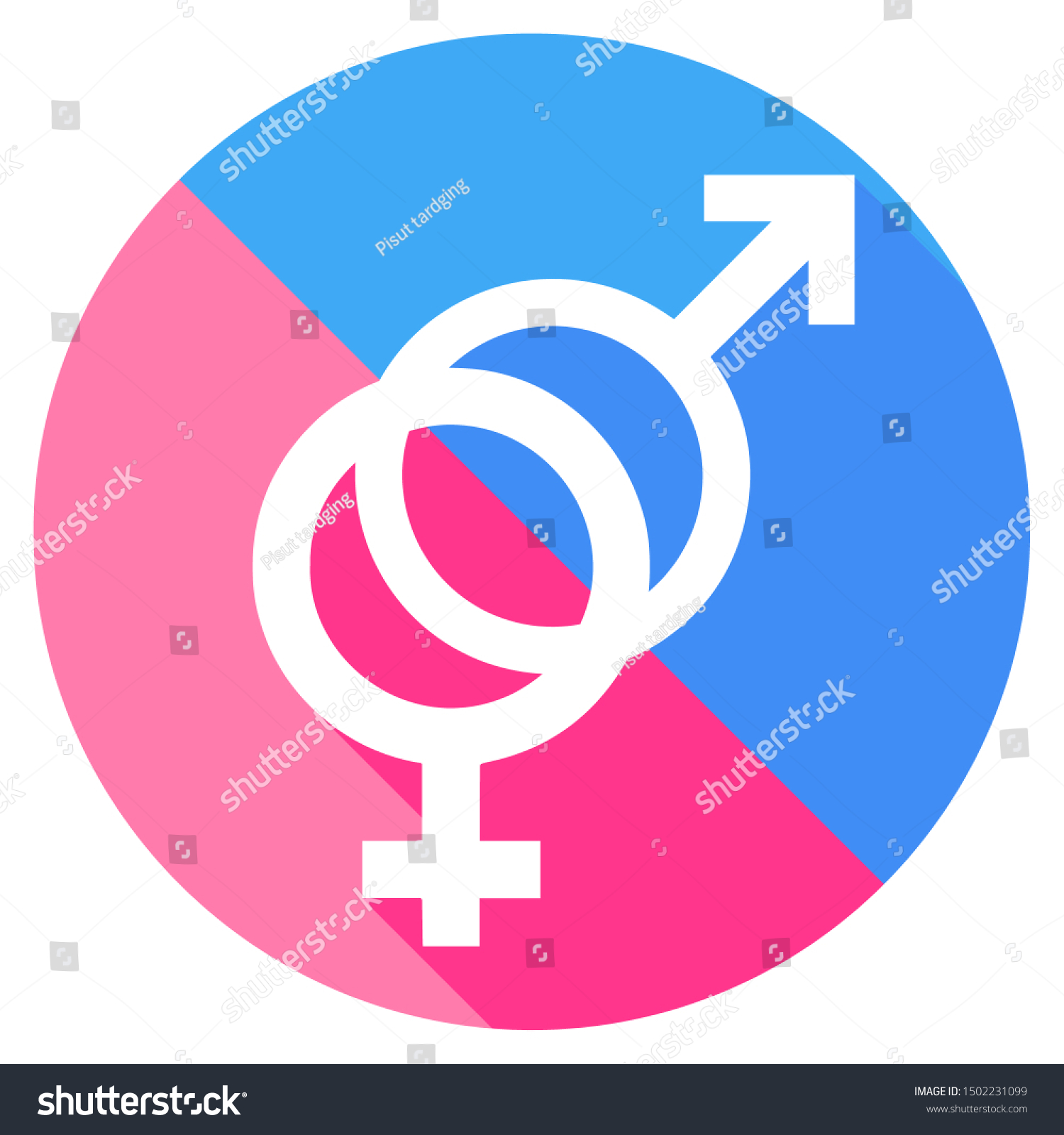 Gender Vector Graphic Clipart Design Stock Vector Royalty Free 8742