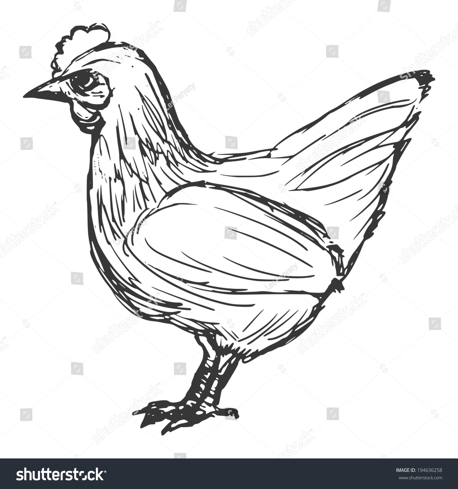 Hand Drawn Cartoon Sketch Illustration Hen Stock Vector 194636258