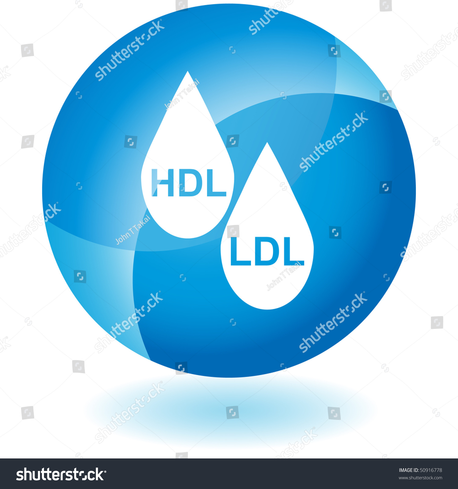 Hdl Ldl Cholesterol Stock Vector 50916778 - Shutterstock Hdl Ldl Cholesterol Stock Vector 50916778 - Shutterstock