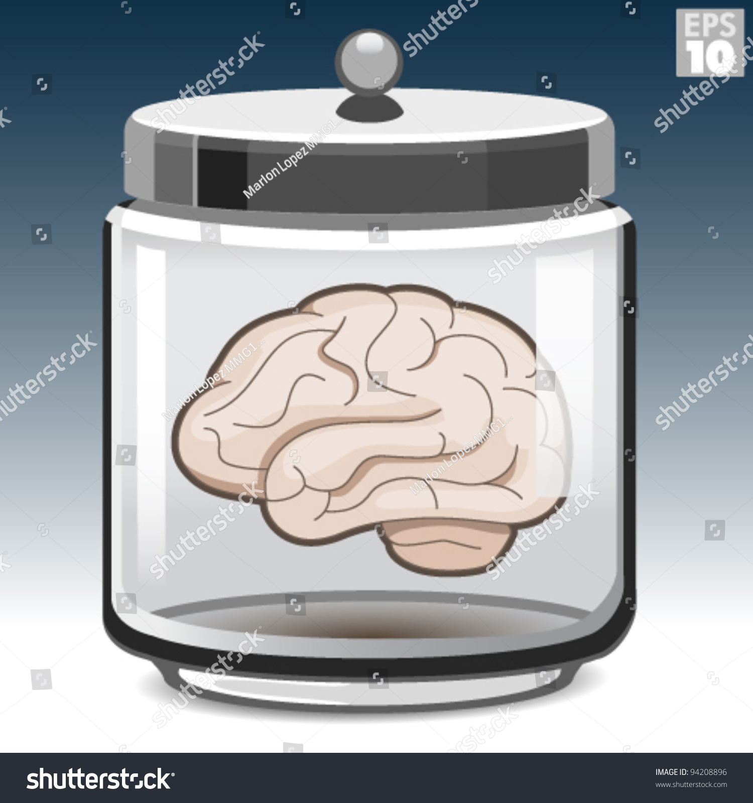 Human Brain In A Glass Jar Stock Vector Illustration 94208896 Shutterstock