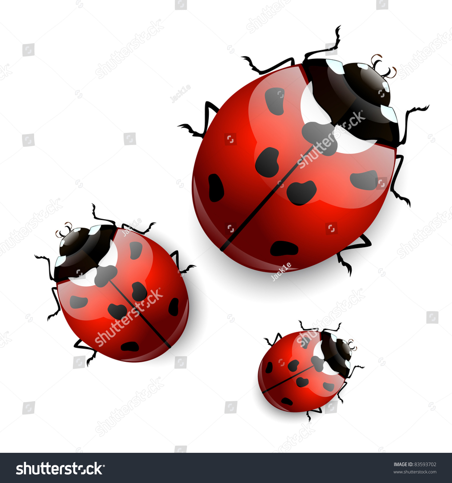 Ladybugs Stock Vector Illustration 83593702 Shutterstock