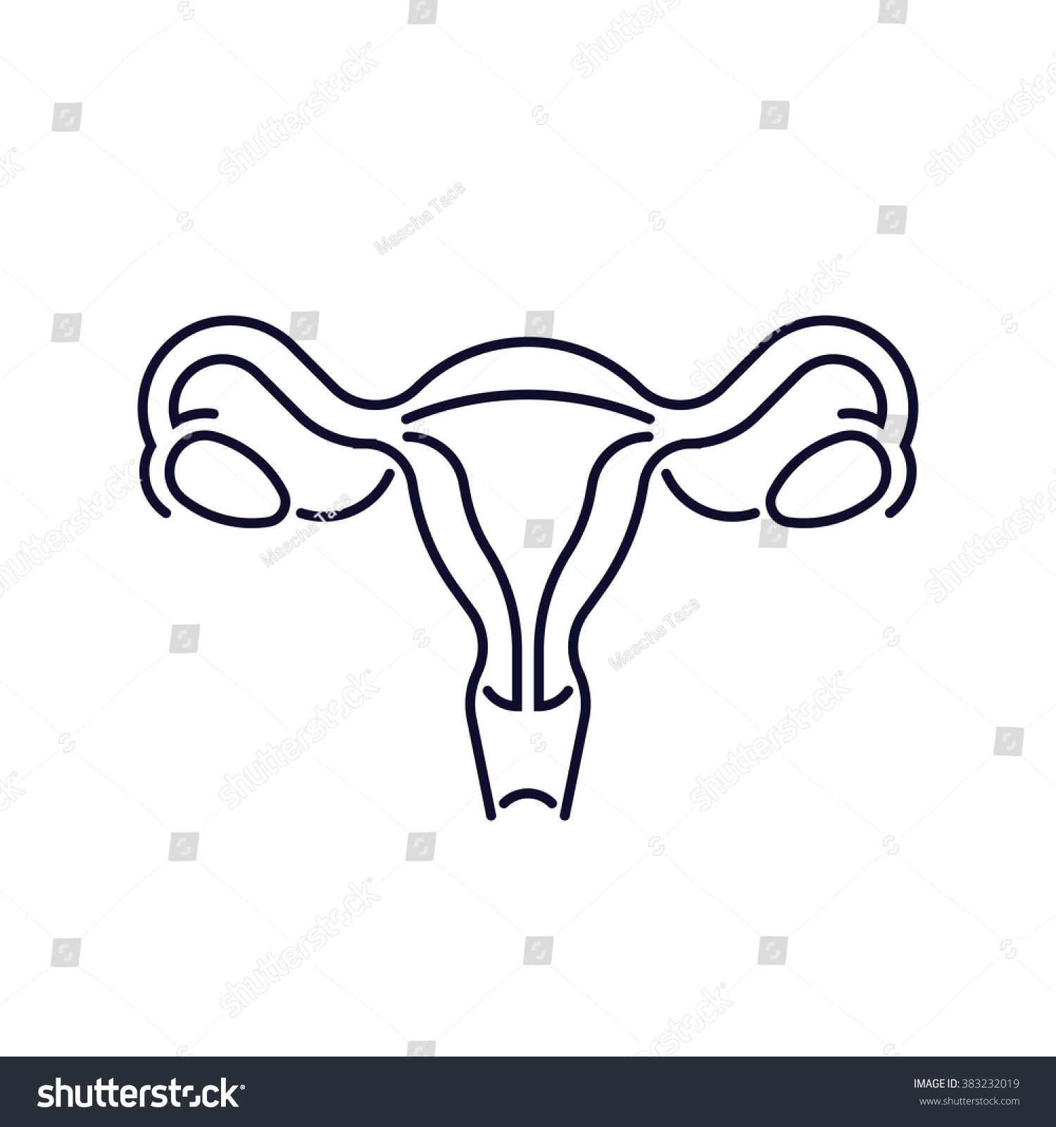 Modern Flat Line Female Reproductive System Stock Vector 39760 Hot