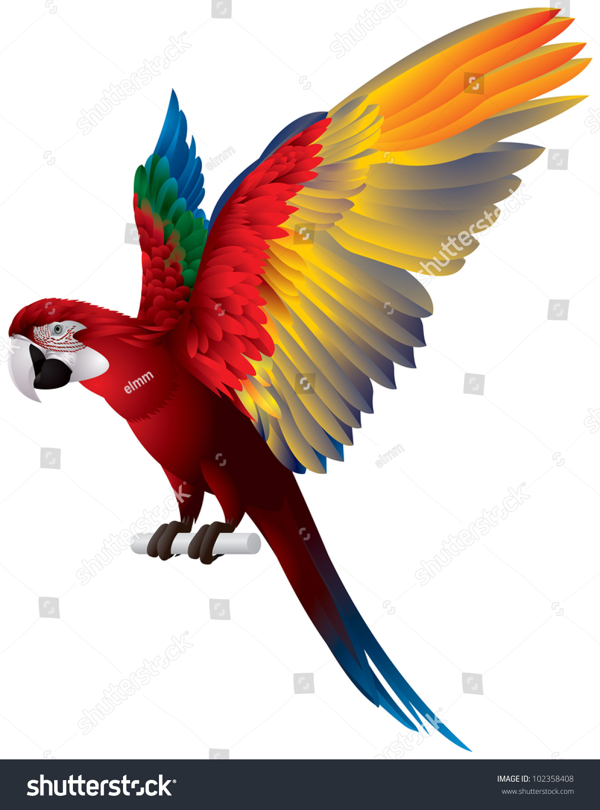 Parrot Spread Wings Red And Green Macaw Large Mostly Red Green Winged Bird The Largest Of The