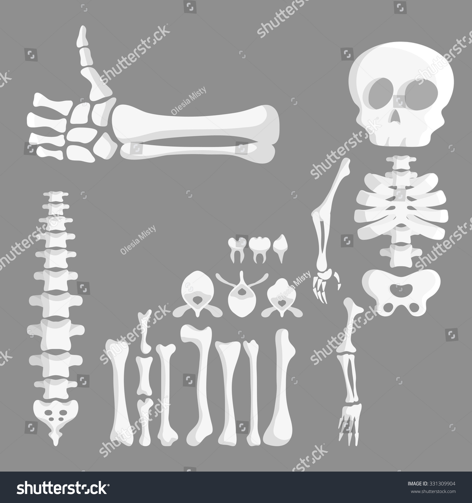 Set Of Cartoon Human Bones, Skeleton Parts Stock Vector Illustration ...