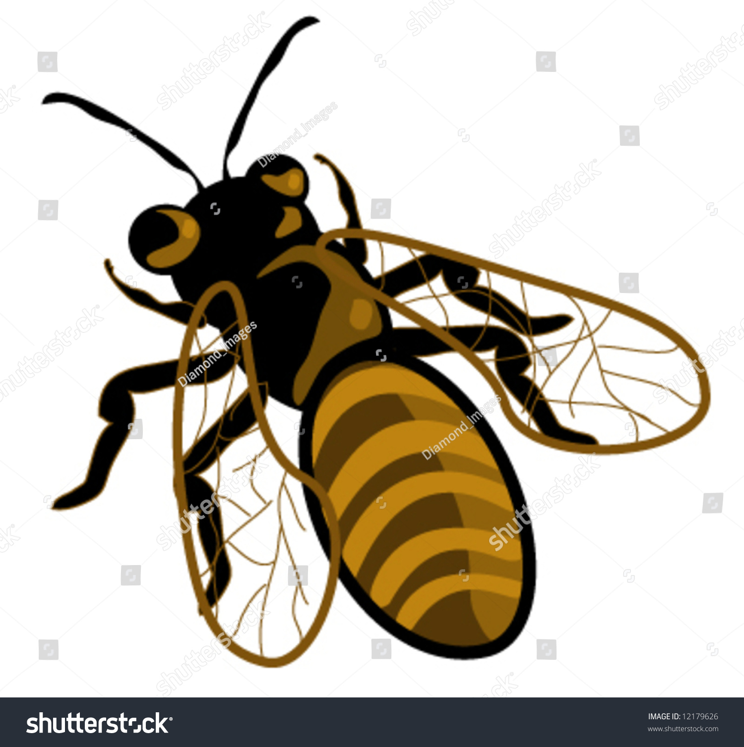 Vector Honey Bee 12179626 Shutterstock