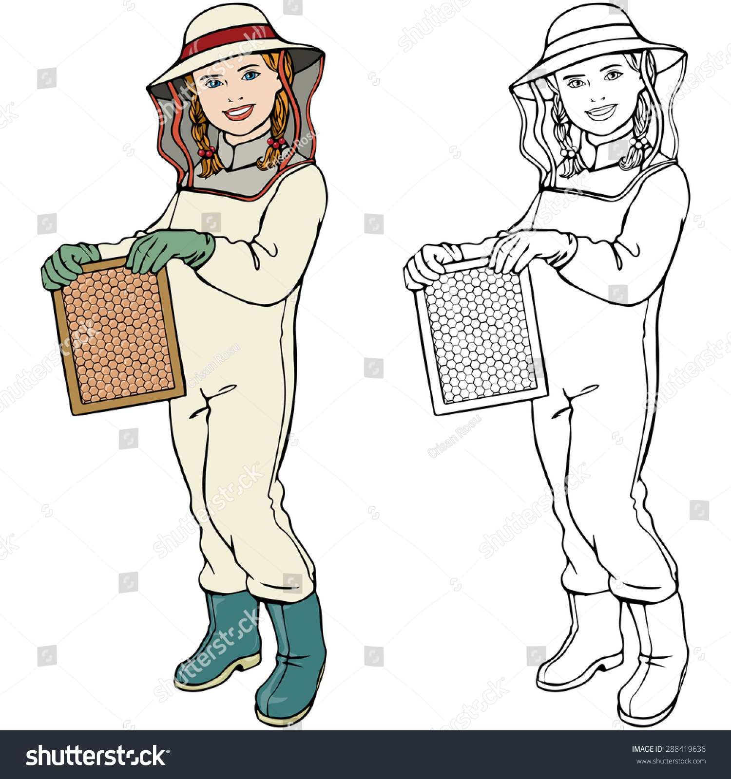 Vector Illustration, Beekeeper, Coloring Drawing, Card Concept, White ... Vector Illustration, Beekeeper, Coloring Drawing, Card Concept, White ...