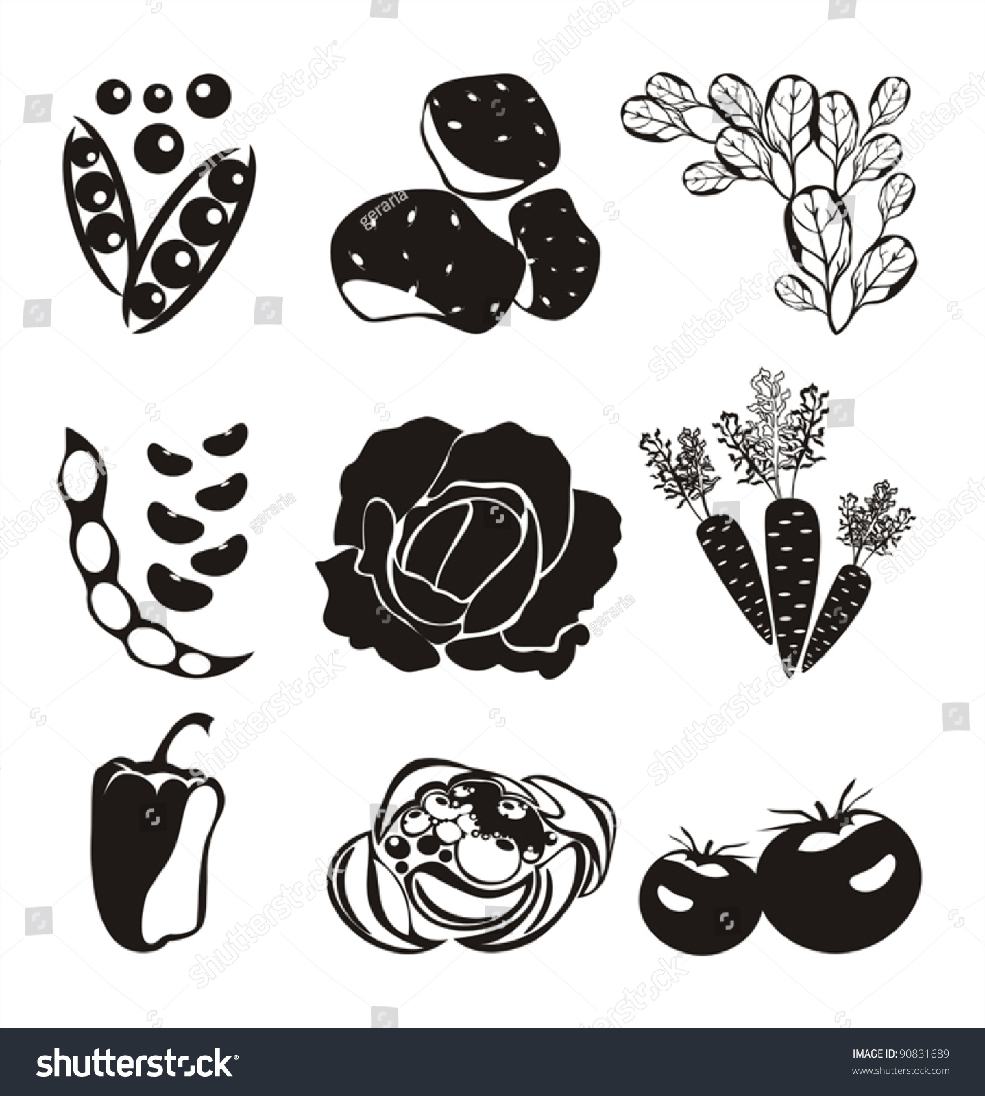 Vector Set With Decorative Black Vegetables Silhouettes On White Background 90831689