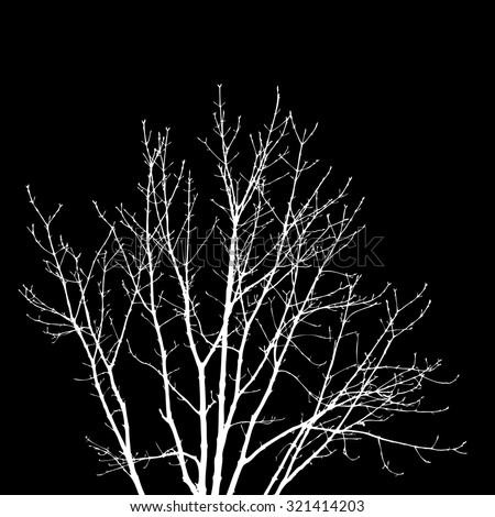 Leafless Autumn Tree Design Free Vector | Download Free Vector Art ...
