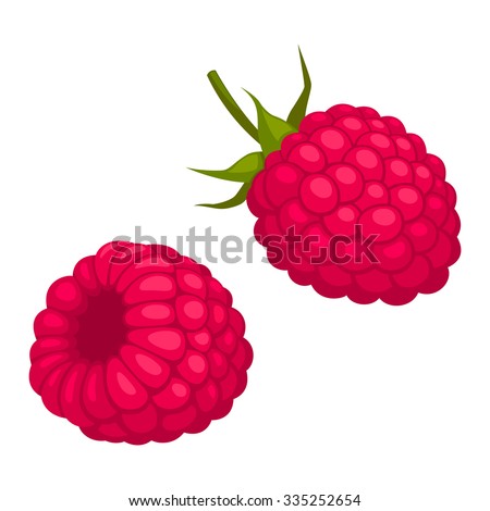 Raspberry vector Free Vector / 4Vector