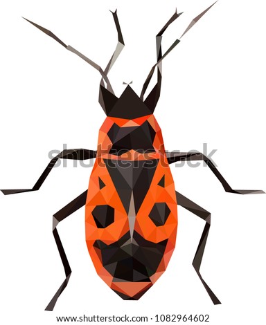 FREE IMAGE: Firebugs | Libreshot Public Domain Photos