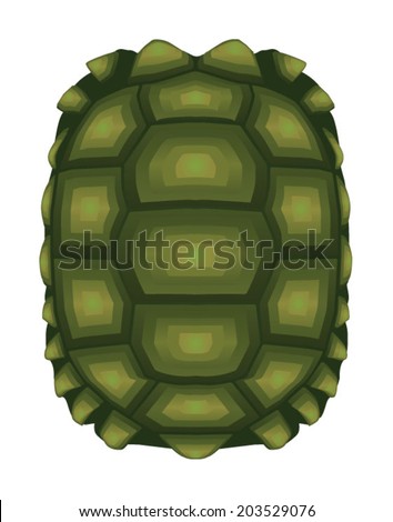 Turtle Shell Drawing | Free download on ClipArtMag
