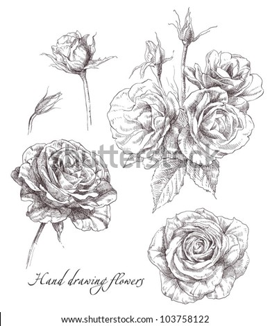 Pretty Rose Drawing | Free download on ClipArtMag
