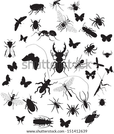 Bugs Clipart Black And White | Free download on ClipArtMag