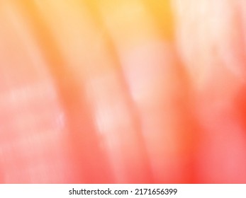 69,325 Soft back lighting Images, Stock Photos & Vectors | Shutterstock