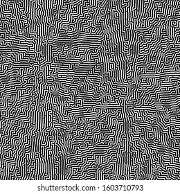 2d Black White Reaction Diffusion Pattern Stock Illustration 1603710793 ...