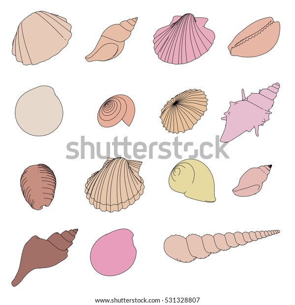 2d Cartoon Illustration Shells Set 스톡 일러스트 531328807 | Shutterstock