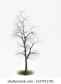 3 D Rendering Dead Tree Isolated Stock Illustration 1127911781 ...