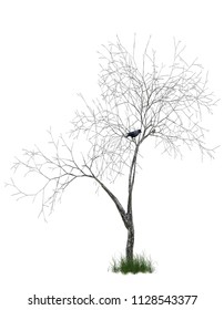 3 D Rendering Dead Tree Isolated Stock Illustration 1128543377 ...