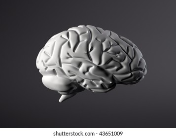 3d Brain Stock Illustration 43651009 | Shutterstock