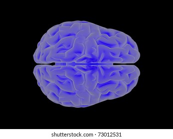 3d Brain Stock Illustration 73012531 | Shutterstock