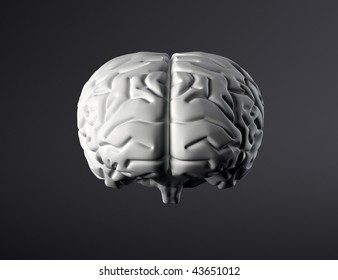 3d Brain Front View Stock Illustration 43651012 | Shutterstock