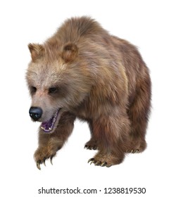 3d Cg Rendering Bear Stock Illustration 1238819530 | Shutterstock