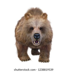 3d Cg Rendering Bear Stock Illustration 1238819539 | Shutterstock