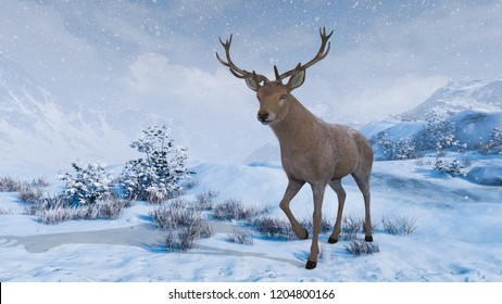 Lonely Noble Deer Mail Big Horns Stock Photo (Edit Now) 1180101385
