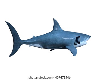 Megalodon Side Profile Megalodon Extinct Species: стоковая иллюстрация ...