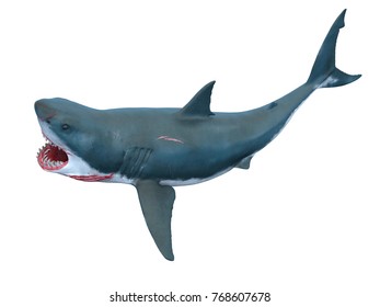 Whale Shark 3d Render Clipping Path: ภาพประกอบสต็อก 32232010 | Shutterstock