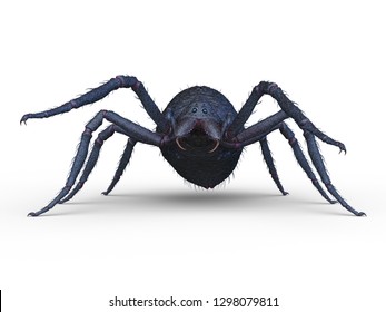 3d Cg Rendering Spider Stock Illustration 1298079811 | Shutterstock