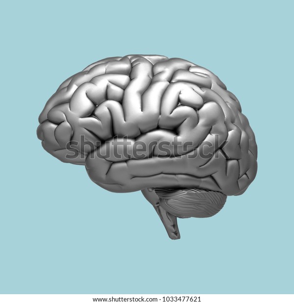 1,347 Chrome Brain Images, Stock Photos & Vectors | Shutterstock