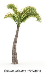 3d Coconut Tree Isolated Over White Stock Illustration 99926648 ...