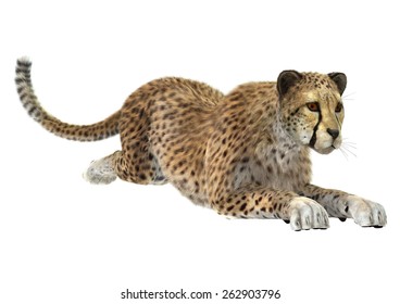 1,713 3d cheetah Images, Stock Photos & Vectors | Shutterstock