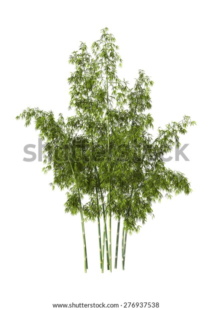 3d Digital Render Green Bamboo Trees Stock Illustration 276937538 ...