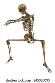 3d Digital Render Human Dancing Skeleton Stock Illustration 245320033 ...