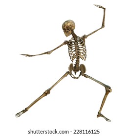 3d Digital Render Human Skeleton Blocking 스톡 일러스트 228104242 | Shutterstock