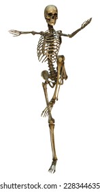 3d Digital Render Human Skeleton Cold Stock Illustration 228344635 ...
