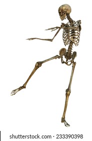 3d Digital Render Human Skeleton Ushirogeri Stock Illustration 233390398