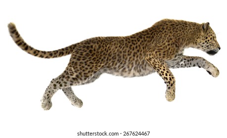 2,678 Jumping leopard illustration Images, Stock Photos & Vectors ...