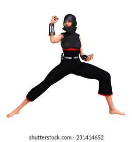 3d Digital Render Ninja Isolated On Stock Illustration 234476989